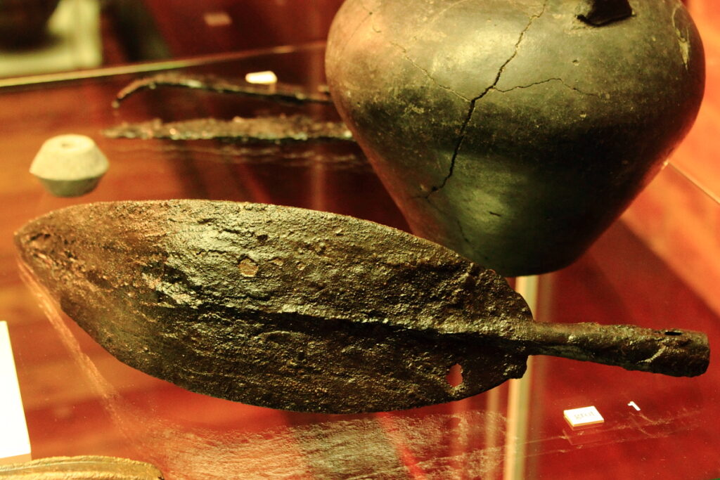 Muzeum Archeologiczne we Wrocławiu – Fotowędrownik
